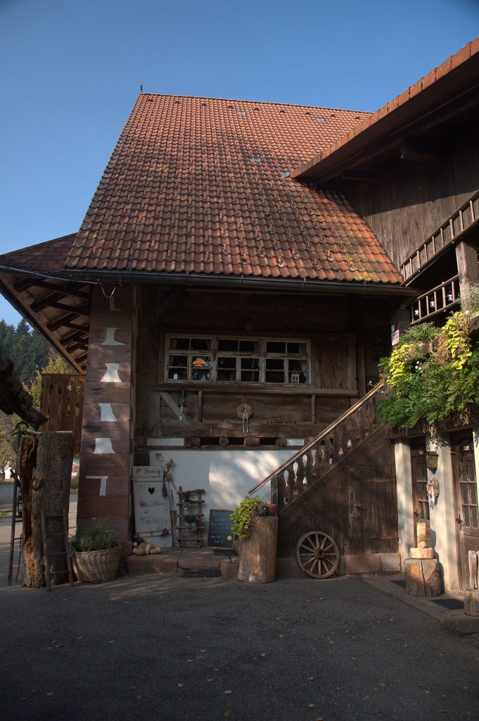 Über den Kuhhornkopf zum Mühlstein (Ba-Wü, Lkr. OG) – Reisen und Natur
